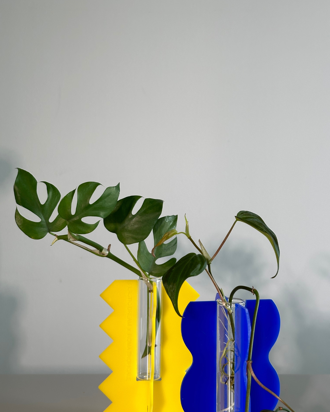 PLASTIC DREAM x ROMA TROPICALE | Capsule Collection